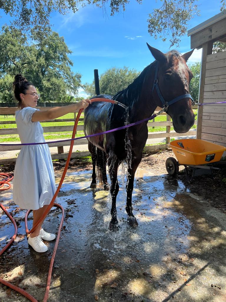 Equine Therapy – IKANN WELLNESS