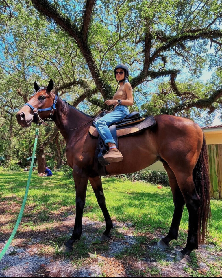 Animal Assisted Activities - IKANN WELLNESS